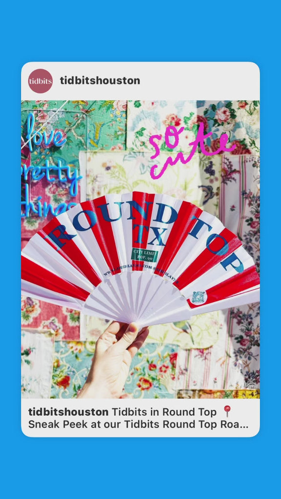 1 FAN” Original Gameday Spirit Fan – AmesLayne
